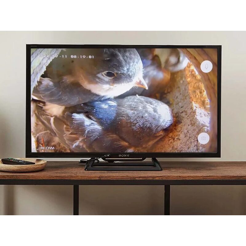 Bird Box Camera TV Cable Connection - Biodegradable Life